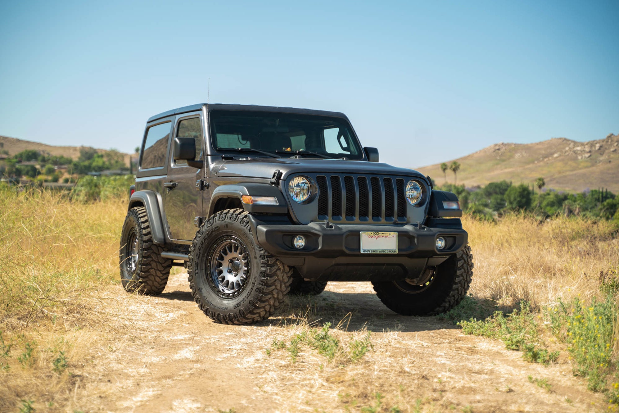 2-Door Jeep Wrangler JL Side Steps | OE Plus Series | DV8 Offroad