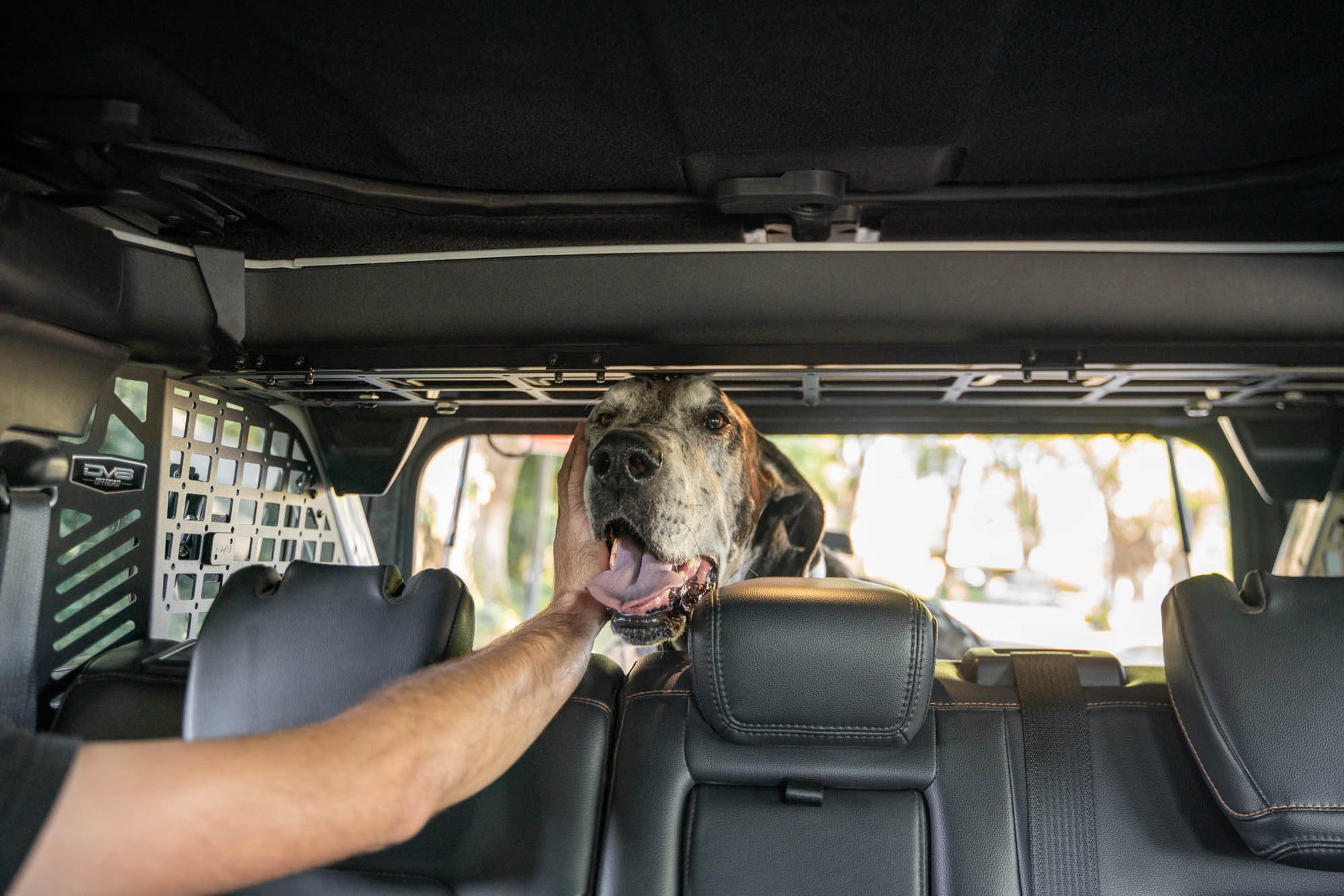 6th Gen Bronco Dog Barrier | DV8 Offroad