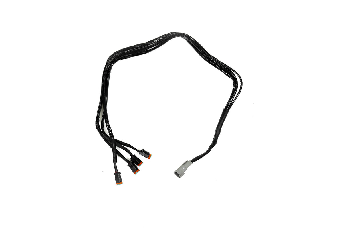 4-Way DT Plug Harness | 1-DTP to 4-DTP | DV8 Offroad